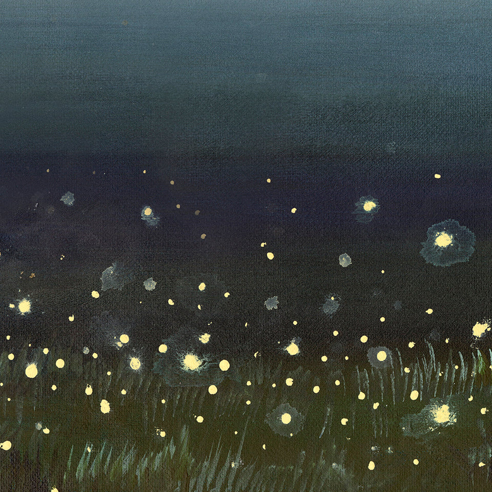 Firefly Field | Canvas – Lindsay Letters®