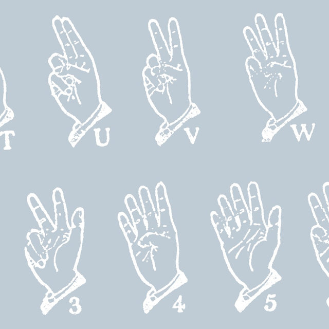 American Sign Language for Frame TV – Lindsay Letters®